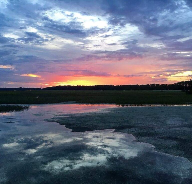 Butterbean Beach – Savannah Food Truck Force